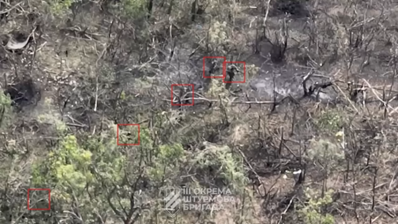 Frontline report: Russian defense along railroad begins to collapse as ...