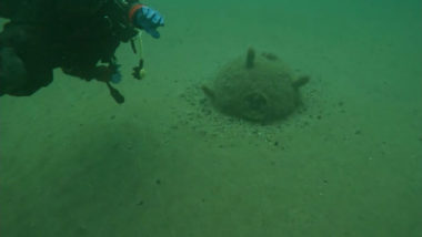 Ukrainian Navy destroys WWII-era naval mine in Black Sea - Euromaidan Press