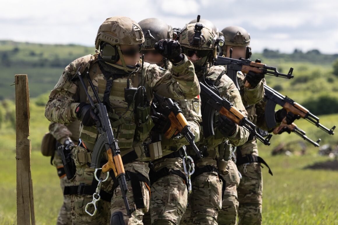 Finland hosts major NATO artillery drills near Russian border ...