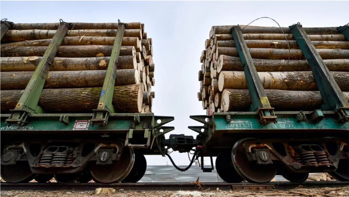 The EU banned Russian timber—then bought € 1.5 billion worth anyway ...