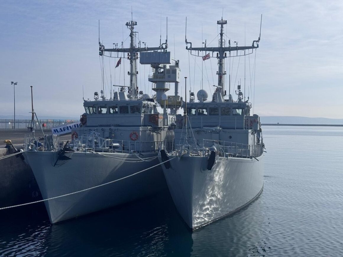 Ukrainian marines turn training ground into war school at NATO's Sea ...