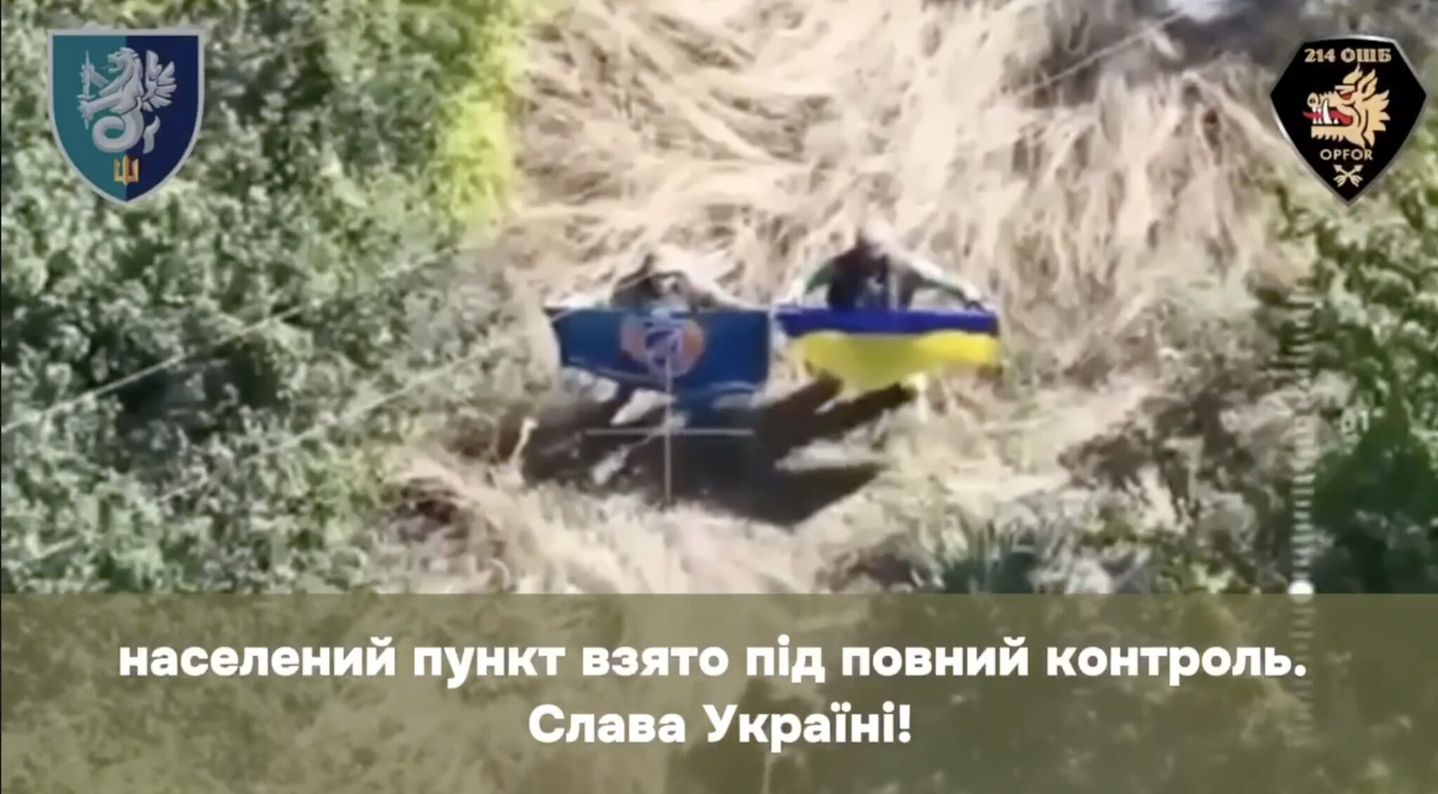 Marines raise Ukrainian flag on National Flag Day in liberated Donetsk settlement - Euromaidan Press